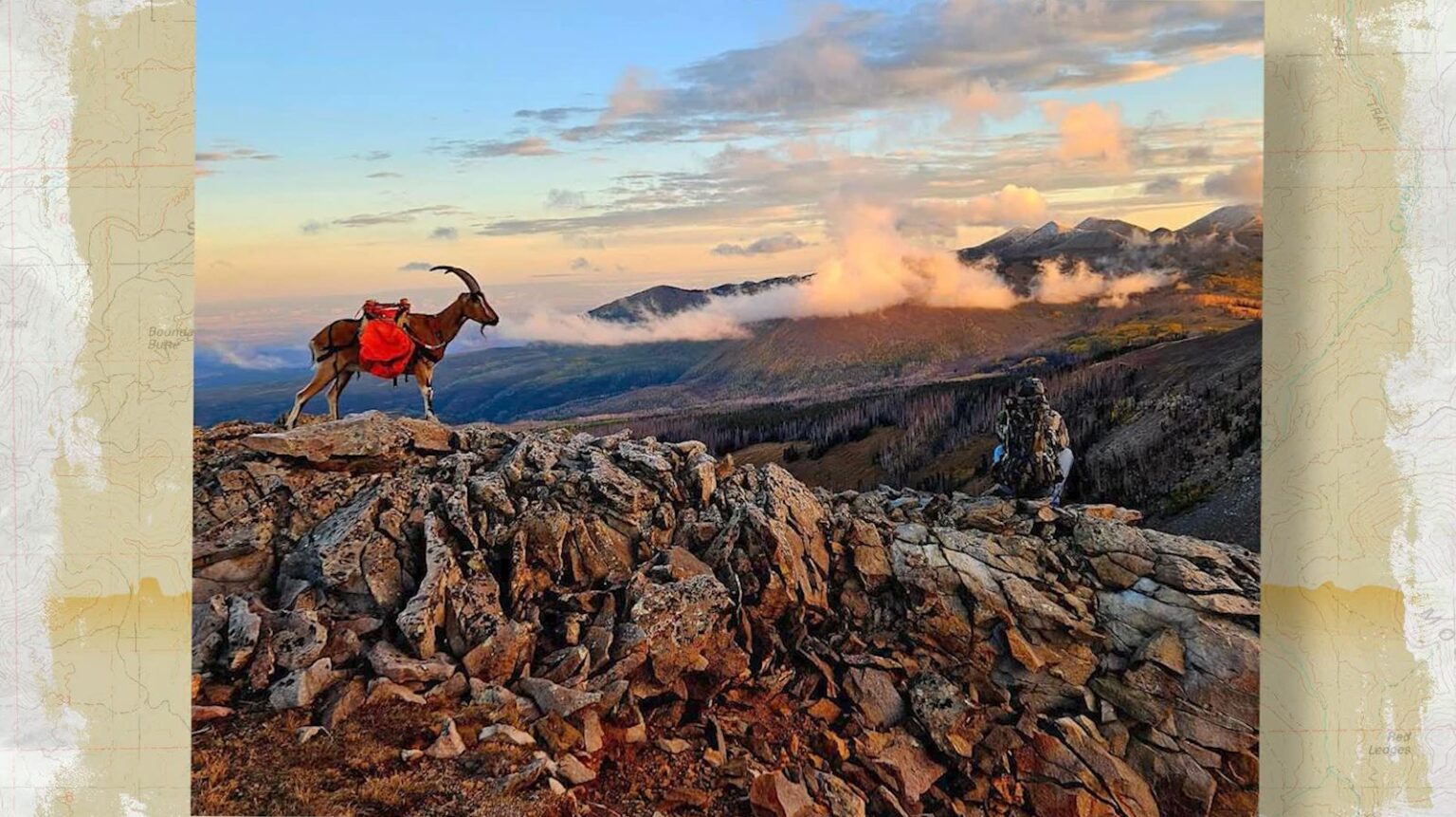 Snapshot of the Week: November 16, 2024