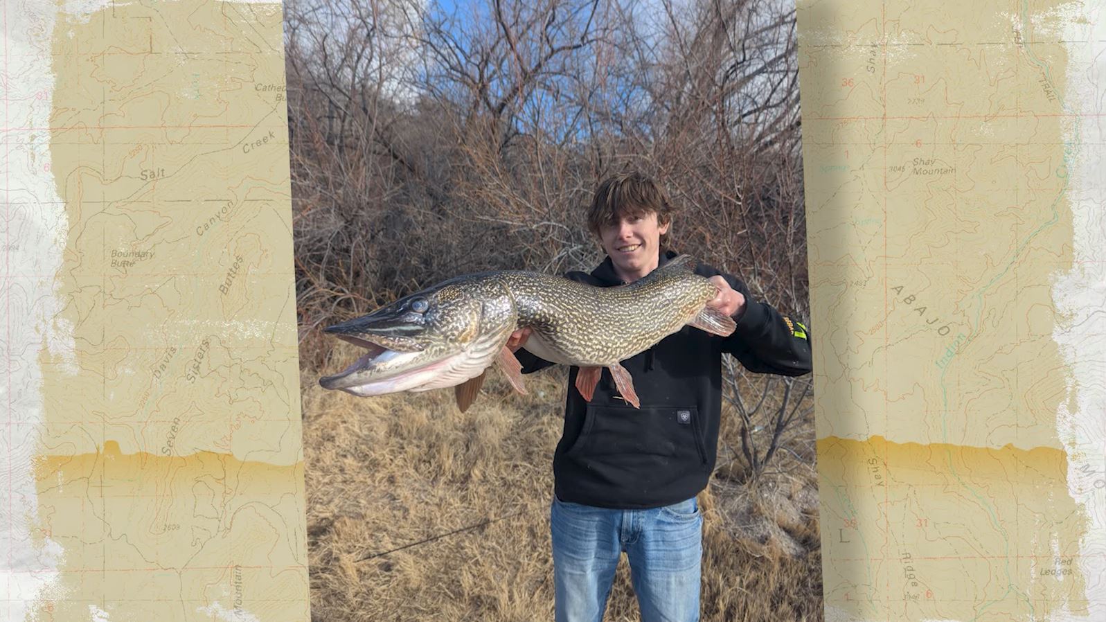 Snapshot of the Week: April 26, 2025