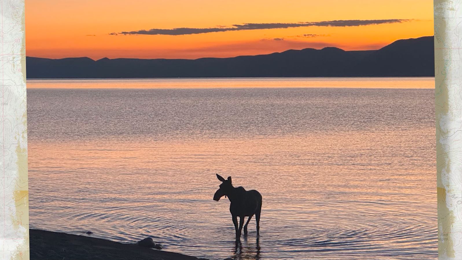 Snapshot of the Week: June 28, 2025